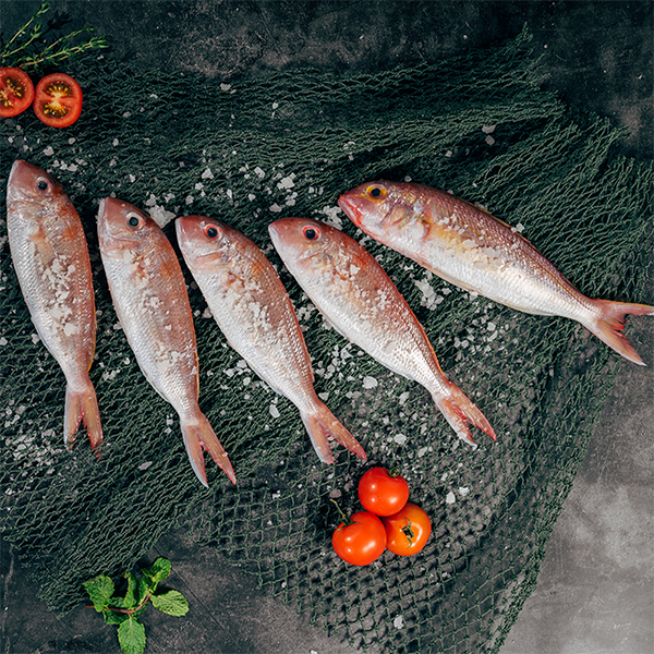 ShopFresh2U | 40 Years Seafood Wholesaler | Fresh Fish Daily | Your One ...