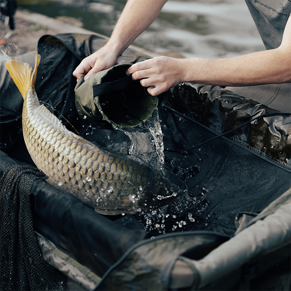 ShopFresh2U | 40 Years Seafood Wholesaler | Fresh Fish Daily | Your One ...